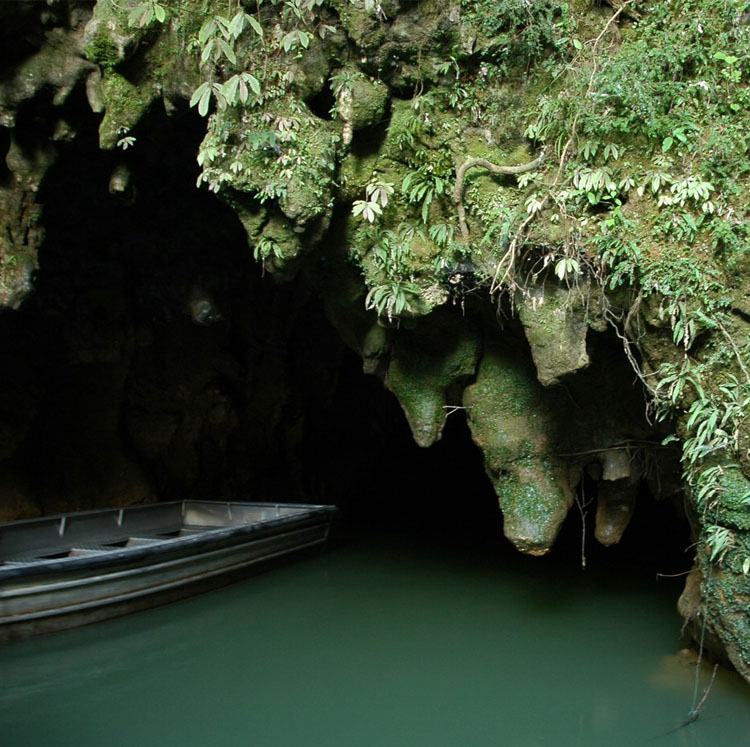 South Pacific Tours | Pilgrim Tours